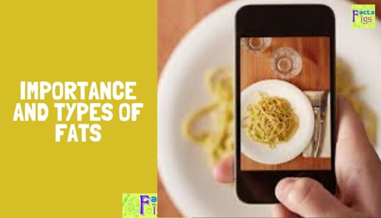 Importance and Types of Fats that people can consume - FactsnFigs.com